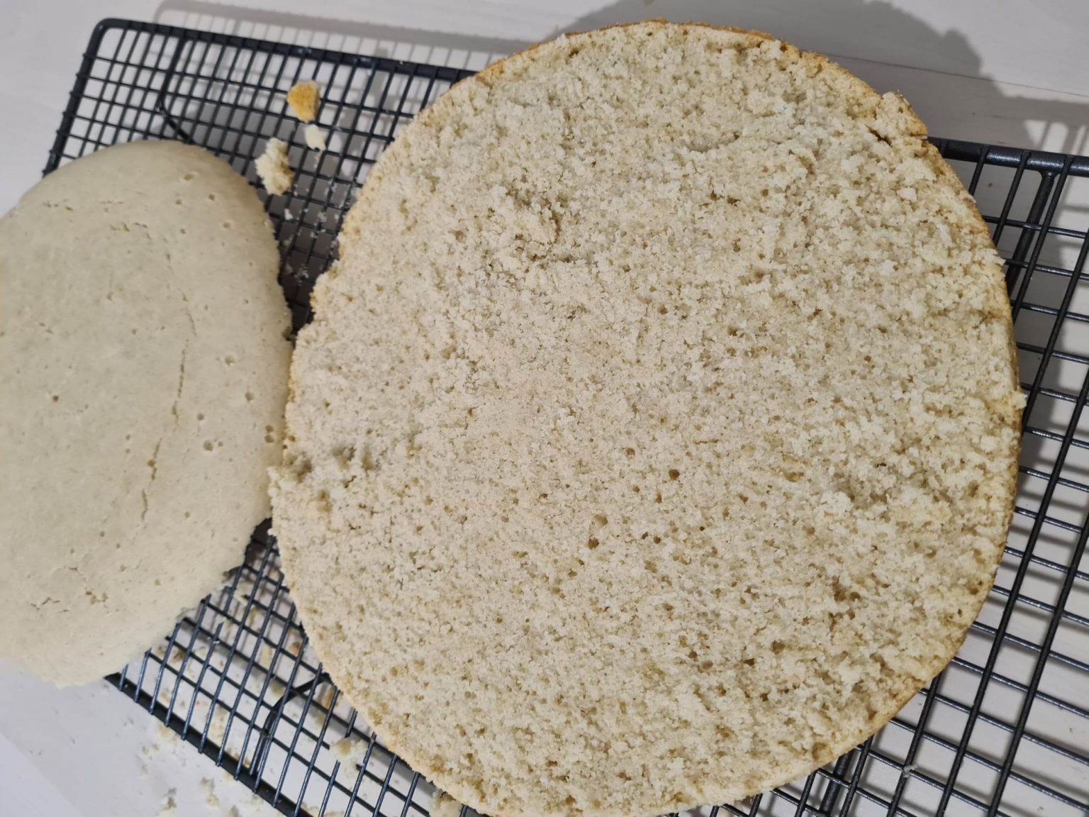 Blat de tort (fg, vegan) – eusipiticulmeu